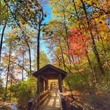 Issaqueena Falls Trail, South Carolina - 835 Reviews, Map | AllTrails