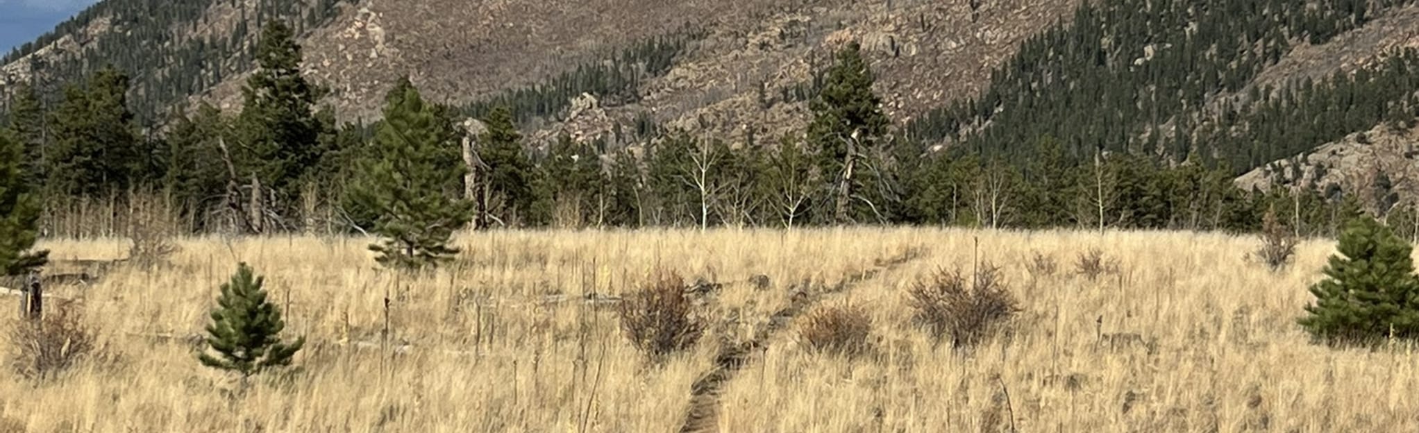 Thunder Butte, Colorado - 102 Reviews, Map | AllTrails