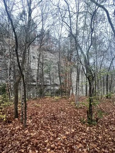 Best Hikes and Trails in Sonyea State Forest | AllTrails