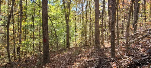 Best Hikes and Trails in Cleveland | AllTrails