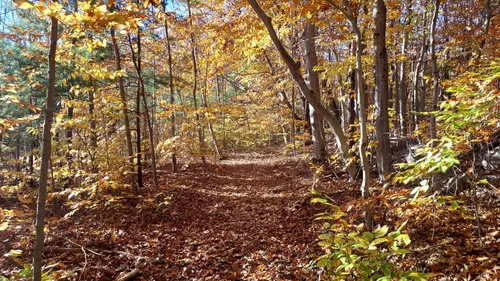 Best Hikes and Trails in Howard Hill Conservation Area | AllTrails