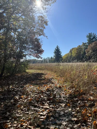 Best Hikes and Trails in Farmdale Recreation Area | AllTrails