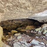 Buggytop Trail to Lost Cove Cave, Tennessee - 773 Reviews, Map | AllTrails
