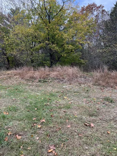 2023 Best Lake Trails in Needham | AllTrails