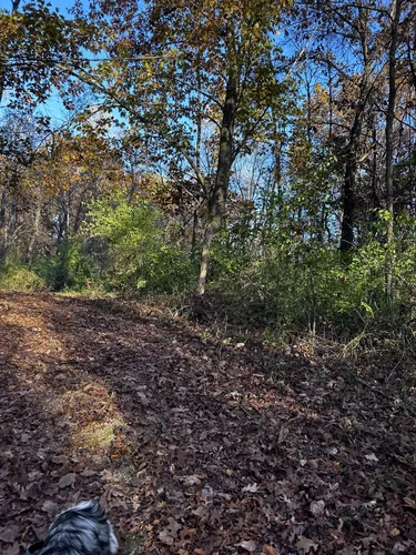 Best Hikes and Trails in Castle Rock State Park | AllTrails