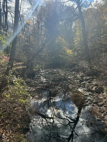 Best Hikes and Trails in Newtonbrook Creek Park | AllTrails
