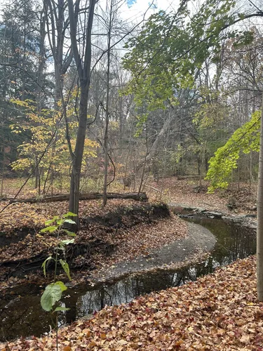 Best Hikes and Trails in Newtonbrook Creek Park | AllTrails