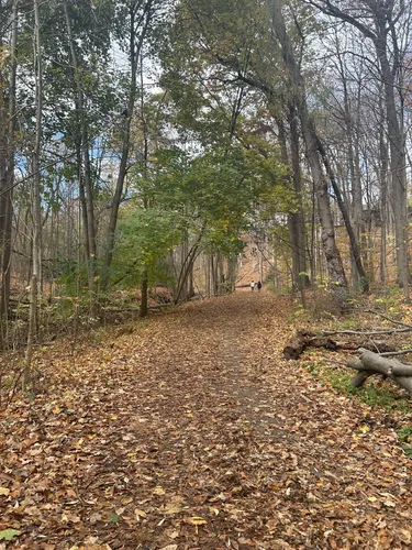 Best Hikes and Trails in Newtonbrook Creek Park | AllTrails
