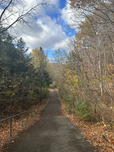Best Hikes and Trails in Newtonbrook Creek Park | AllTrails