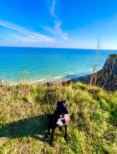 Best Hikes and Trails in Warnimont Park | AllTrails