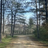 Van Patten Woods Forest Preserve Loop, Illinois - 751 Reviews, Map ...