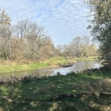 Van Patten Woods Forest Preserve Loop, Illinois - 751 Reviews, Map ...