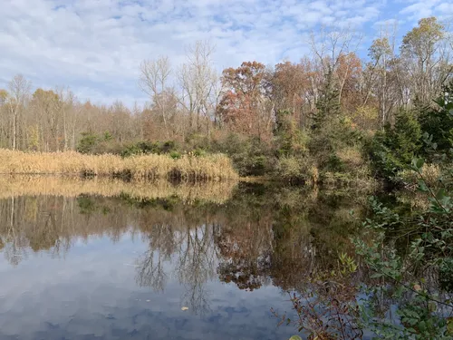 Best Hikes and Trails in Fishkill | AllTrails