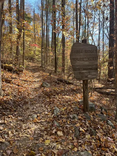 Best Hikes and Trails in Three Ridges Wilderness | AllTrails