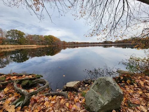 2023 Best Lake Trails in Needham | AllTrails