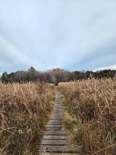2023 Best Lake Trails in Needham | AllTrails