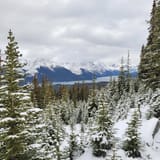 Bald Hills Loop, Alberta, Canada - 1,240 Reviews, Map | AllTrails