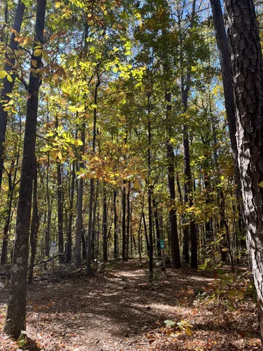 Best Hikes and Trails in Lost Mountain Park | AllTrails