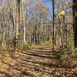 Route 390 Trail, New York - 61 Reviews, Map | AllTrails