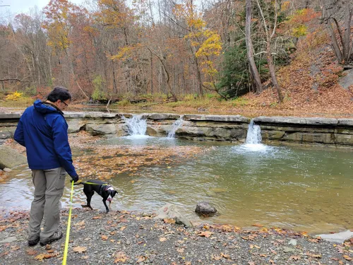 Best Hikes and Trails in Sonyea State Forest | AllTrails