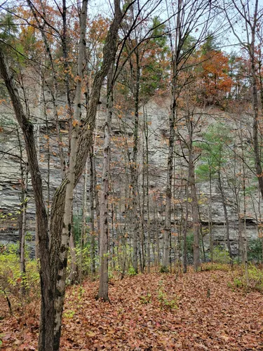 Best Hikes and Trails in Sonyea State Forest | AllTrails