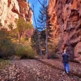 Spring Creek Canyon, Utah - 1,147 Reviews, Map | AllTrails