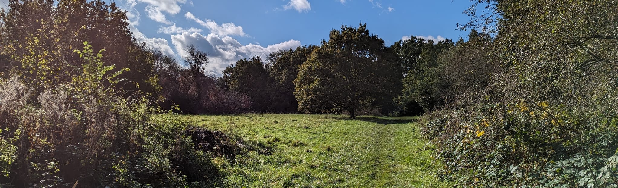 Kew to East Grinstead, London, England - 2 Reviews, Map | AllTrails