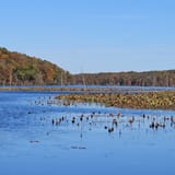 Council Bluff Lake Loop, Missouri - 278 Reviews, Map | AllTrails