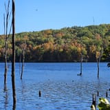 Council Bluff Lake Loop, Missouri - 278 Reviews, Map | AllTrails