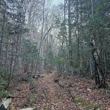 Carter Notch Hut, Dome, and 19 Mile Brook Trail, New Hampshire - 435 ...