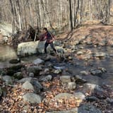 Ramapo Reservation Loop Trail, New Jersey - 1,648 Reviews, Map | AllTrails