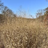 Ramapo Reservation Loop Trail, New Jersey - 1,648 Reviews, Map | AllTrails