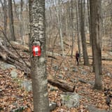 Ramapo Reservation Loop Trail, New Jersey - 1,648 Reviews, Map | AllTrails