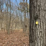 Ramapo Reservation Loop Trail, New Jersey - 1,648 Reviews, Map | AllTrails