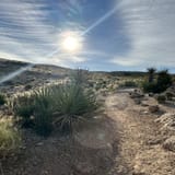 Fossil Ridge Loop, Nevada - 821 Reviews, Map | AllTrails