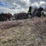 Haystack Mountain Trail, Maine - 304 Reviews, Map | AllTrails