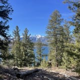Meadow Loop and Ridge Trail, Colorado - 3,221 Reviews, Map | AllTrails