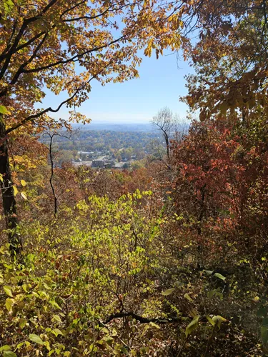Best Hikes and Trails in Sharps Ridge Memorial Park | AllTrails
