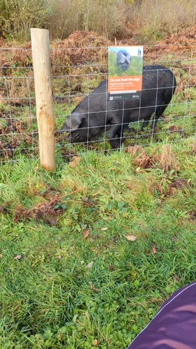 Best Hikes and Trails in Hothfield Common Nature Reserve | AllTrails