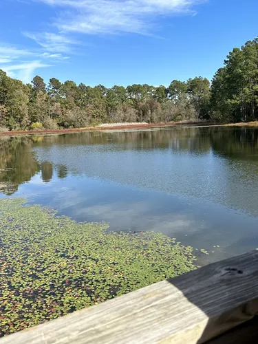Best Lake Trails in Conway | AllTrails