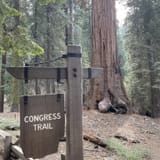 Circle Meadow Loop via Congress and General Sherman Tree Trail ...