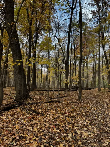 Best Hikes and Trails in Gilbert Park | AllTrails