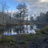 Mount Watatic, Massachusetts - 1,378 Reviews, Map | AllTrails