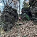 Trout Run Trail, Pennsylvania - 345 Reviews, Map | AllTrails