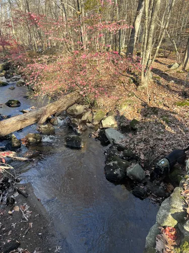 Best Forest Trails in Woodlands Legacy Fields Park | AllTrails