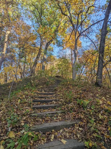 Best Hikes and Trails in Margo Frankel Woods State Park | AllTrails