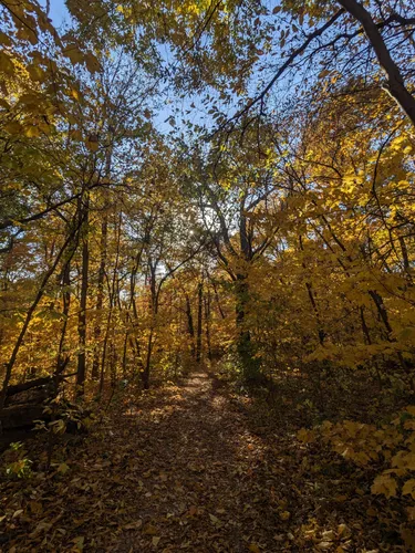Best Hikes and Trails in Margo Frankel Woods State Park | AllTrails