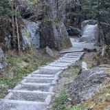 Mount Buckley via Clingmans Dome Bypass Trail, North Carolina - 886 ...