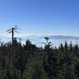 Mount Buckley via Clingmans Dome Bypass Trail, North Carolina - 886 ...