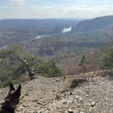 Hackers Falls and Cliff Trail Loop, Pennsylvania - 1,750 Reviews, Map ...